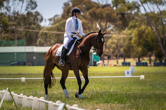 Para Rider Profile | Equestrian South Australia